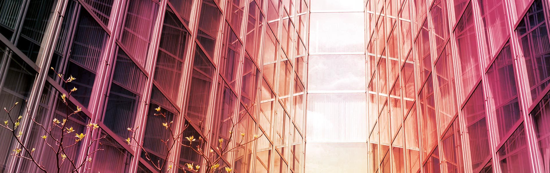 Resource Center | IPC